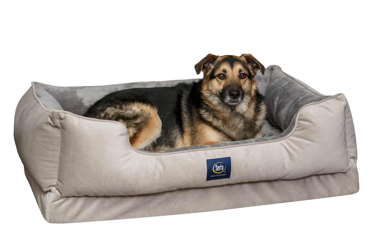 Serta Cuddler Dog Bed