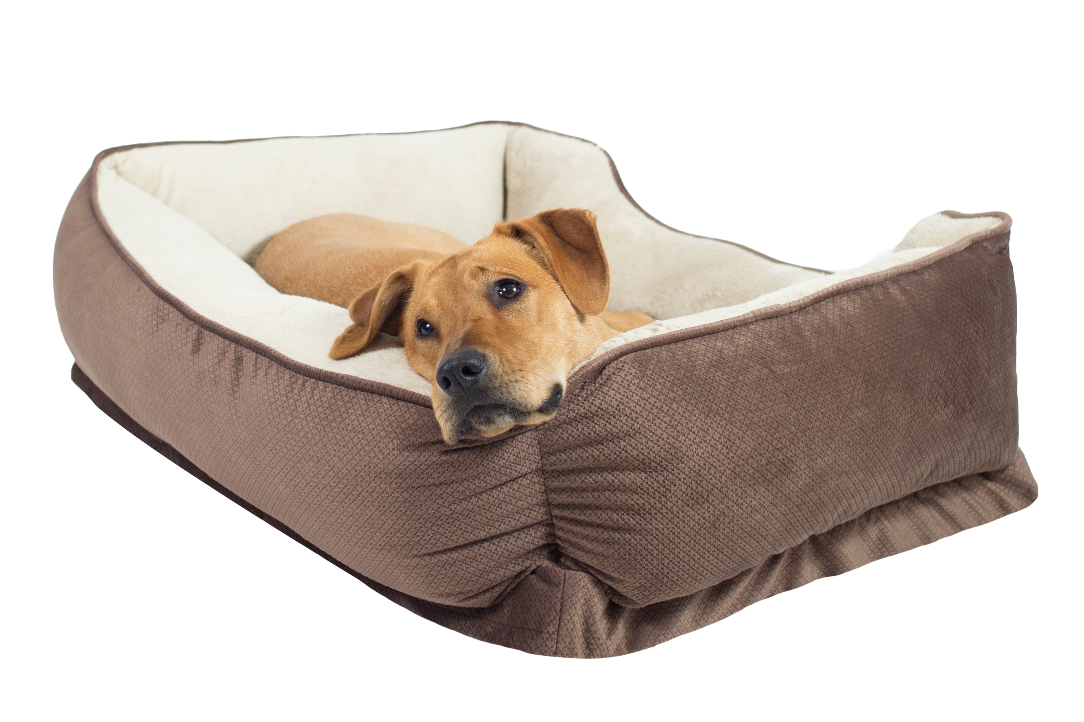 Serta Cuddler Dog Bed